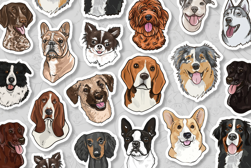 Création d'un pack de 4 stickers - StickerGreen